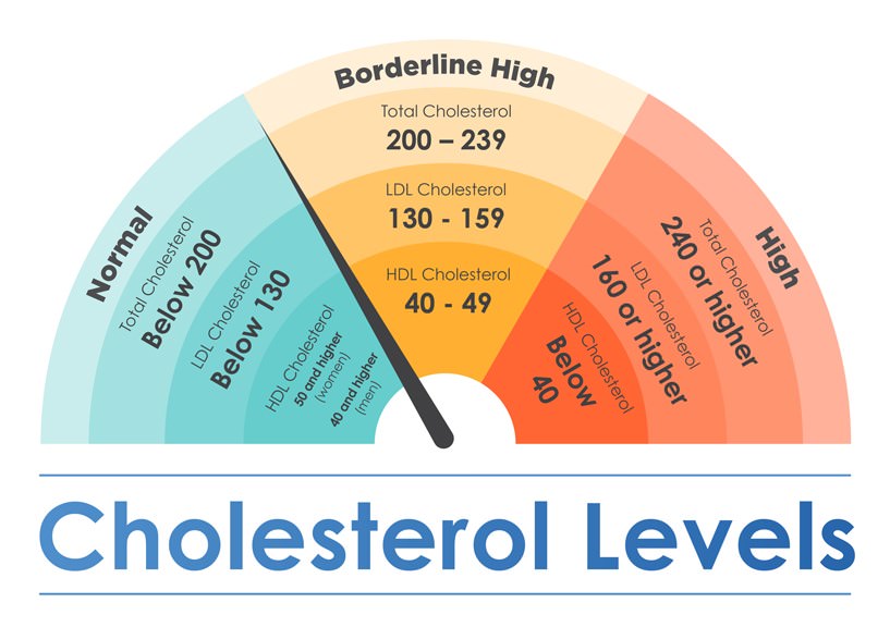 What's Normal Cholesterol Level? 2025 *Life Quotes > 15 secs